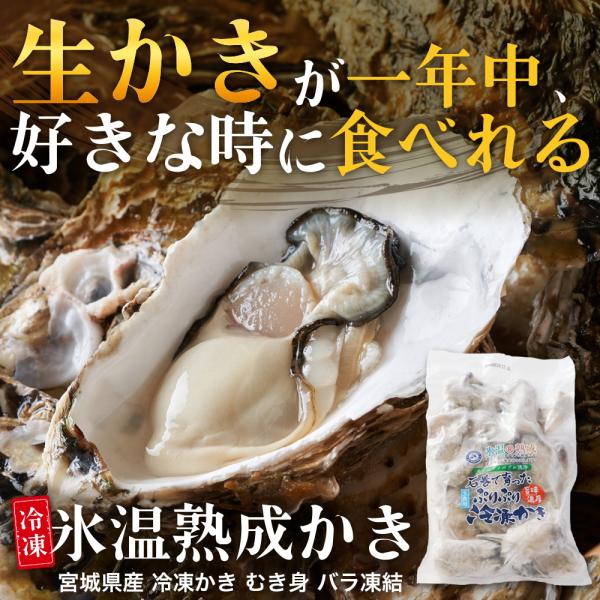 商品内容：冷凍かき　内容量：300g×2袋　原材料：かき（宮城県産）賞味期限：製造より89日《商品説明》0℃以下でも食品が凍らない温度域のことを氷温域と言います。この凍る手前の氷温域で熟成させたかきは、自らの身を守るために（凍らないために）...