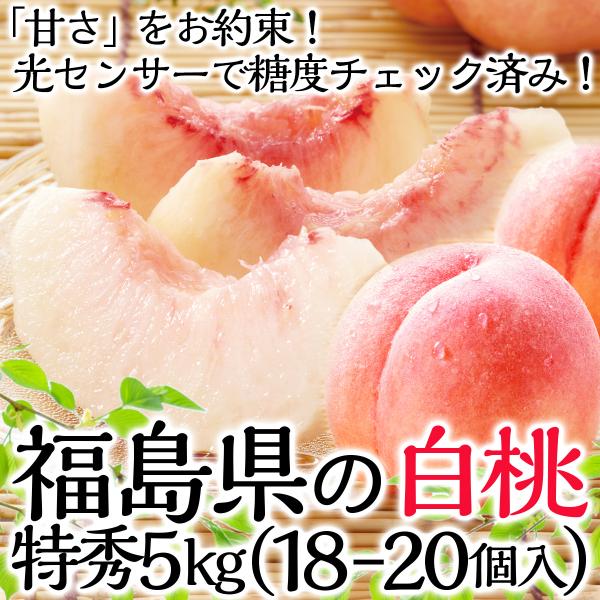 【商品内容】福島県産　あかつき　5kg箱（18-20玉入り）　特秀【北海道・中国・四国・九州・沖縄、その他離島へのお届けについて】桃は非常にデリケートな果物です。鮮度・品質を最優先にお届けするため、配送に中一日以上かかる上記地域へのお届けに...