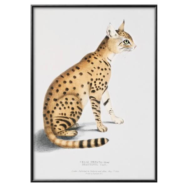 この価格で【ゆうパック】送料無料です!!　※北海道のみ速達便安心輸送で最短でお届け致します。【おまとめ割特設会場】複数枚購入予定の方は、カテゴリから探すのおまとめ割専用ページへお入り下さい。絶対お得です!!!※額 フレーム は付属していませ...