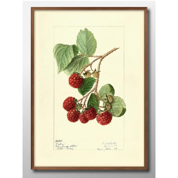 この価格で【ゆうパック】送料無料です!!　※北海道のみ速達便安心輸送で最短でお届け致します。【おまとめ割特設会場】複数枚購入予定の方は、カテゴリから探すのおまとめ割専用ページへお入り下さい。絶対お得です!!!※額 フレーム は付属していませ...