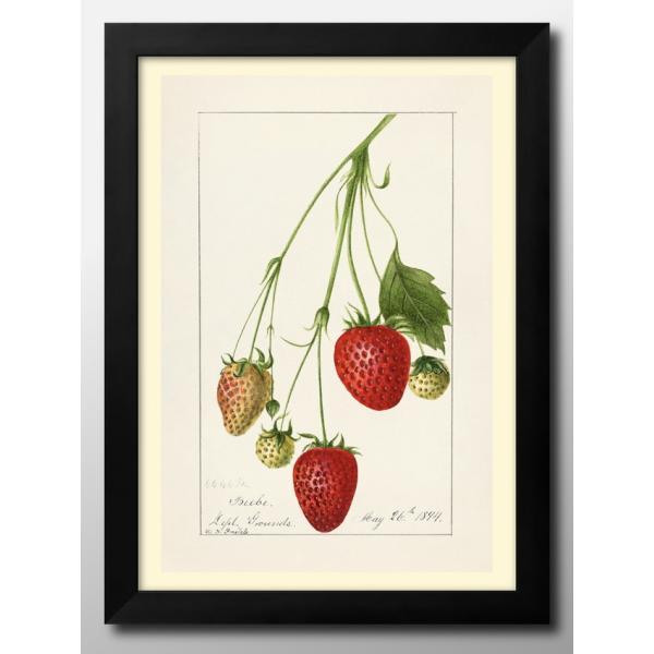 この価格で【ゆうパック】送料無料です!!　※北海道のみ速達便安心輸送で最短でお届け致します。【おまとめ割特設会場】複数枚購入予定の方は、カテゴリから探すのおまとめ割専用ページへお入り下さい。絶対お得です!!!※額 フレーム は付属していませ...