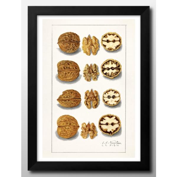 この価格で【ゆうパック】送料無料です!!　※北海道のみ速達便安心輸送で最短でお届け致します。【おまとめ割特設会場】複数枚購入予定の方は、カテゴリから探すのおまとめ割専用ページへお入り下さい。絶対お得です!!!※額 フレーム は付属していませ...