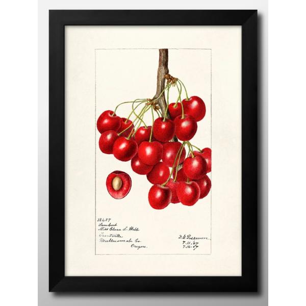 この価格で【ゆうパック】送料無料です!!　※北海道のみ速達便安心輸送で最短でお届け致します。【おまとめ割特設会場】複数枚購入予定の方は、カテゴリから探すのおまとめ割専用ページへお入り下さい。絶対お得です!!!※額 フレーム は付属していませ...