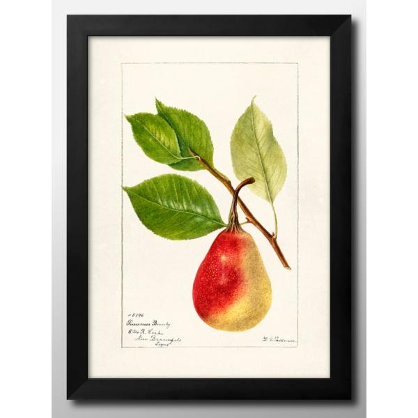 この価格で【ゆうパック】送料無料です!!　※北海道のみ速達便安心輸送で最短でお届け致します。【おまとめ割特設会場】複数枚購入予定の方は、カテゴリから探すのおまとめ割専用ページへお入り下さい。絶対お得です!!!※額 フレーム は付属していませ...