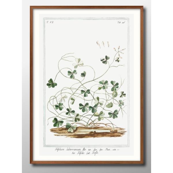 この価格で【ゆうパック】送料無料です!!　※北海道のみ速達便安心輸送で最短でお届け致します。【おまとめ割特設会場】複数枚購入予定の方は、カテゴリから探すのおまとめ割専用ページへお入り下さい。絶対お得です!!!※額 フレーム は付属していませ...