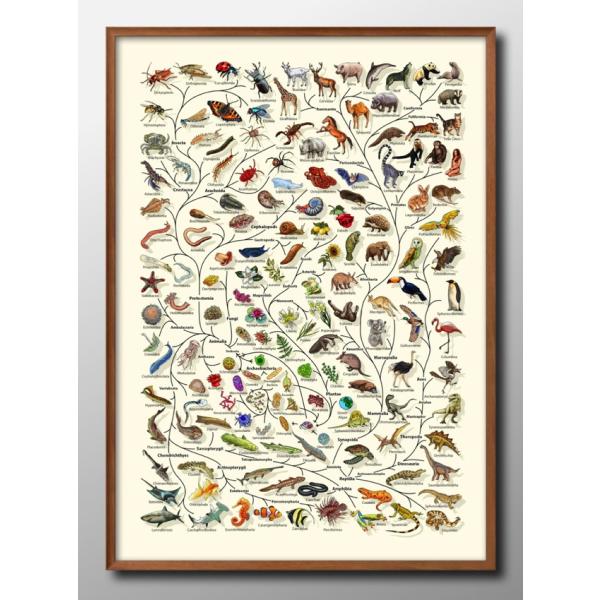 この価格で【ゆうパック】送料無料です!!　※北海道のみ速達便安心輸送で最短でお届け致します。【おまとめ割特設会場】複数枚購入予定の方は、カテゴリから探すのおまとめ割専用ページへお入り下さい。絶対お得です!!!※額 フレーム は付属していませ...