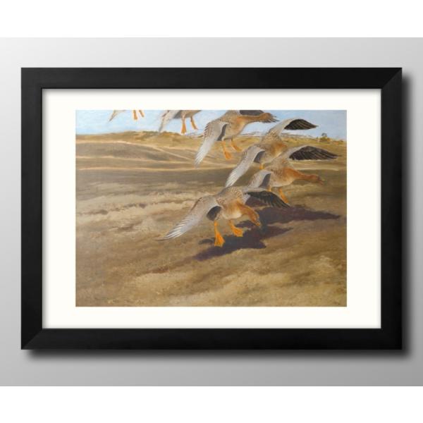 この価格で【ゆうパック】送料無料です!!　※北海道のみ速達便安心輸送で最短でお届け致します。【おまとめ割特設会場】複数枚購入予定の方は、カテゴリから探すのおまとめ割専用ページへお入り下さい。絶対お得です!!!※額 フレーム は付属していませ...