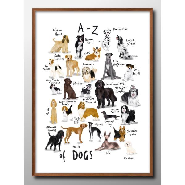 この価格で【ゆうパック】送料無料です!!　※北海道のみ速達便安心輸送で最短でお届け致します。【おまとめ割特設会場】複数枚購入予定の方は、カテゴリから探すのおまとめ割専用ページへお入り下さい。絶対お得です!!!※額 フレーム は付属していませ...