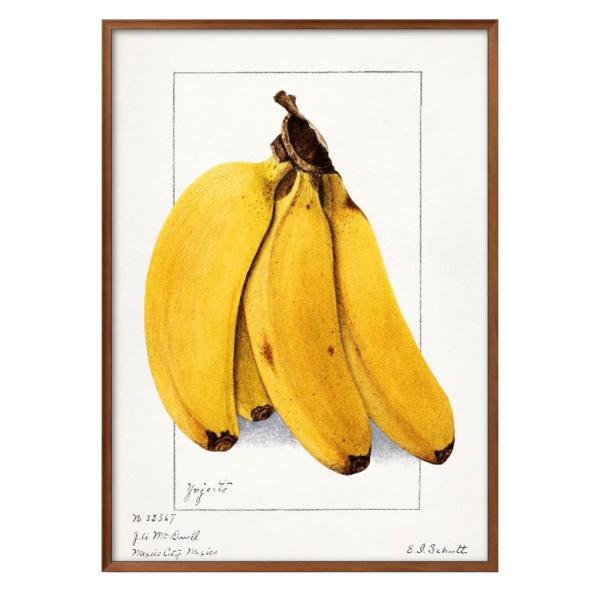 この価格で【ゆうパック】送料無料です!!　※北海道のみ速達便安心輸送で最短でお届け致します。【おまとめ割特設会場】複数枚購入予定の方は、カテゴリから探すのおまとめ割専用ページへお入り下さい。絶対お得です!!!※額 フレーム は付属していませ...