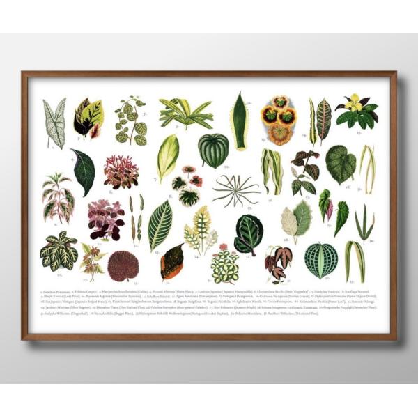 この価格で【ゆうパック】送料無料です!!　※北海道のみ速達便安心輸送で最短でお届け致します。【おまとめ割特設会場】複数枚購入予定の方は、カテゴリから探すのおまとめ割専用ページへお入り下さい。絶対お得です!!!※額 フレーム は付属していませ...