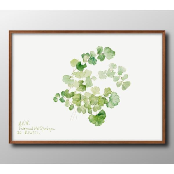 この価格で【ゆうパック】送料無料です!!　※北海道のみ速達便安心輸送で最短でお届け致します。【おまとめ割特設会場】複数枚購入予定の方は、カテゴリから探すのおまとめ割専用ページへお入り下さい。絶対お得です!!!※額 フレーム は付属していませ...