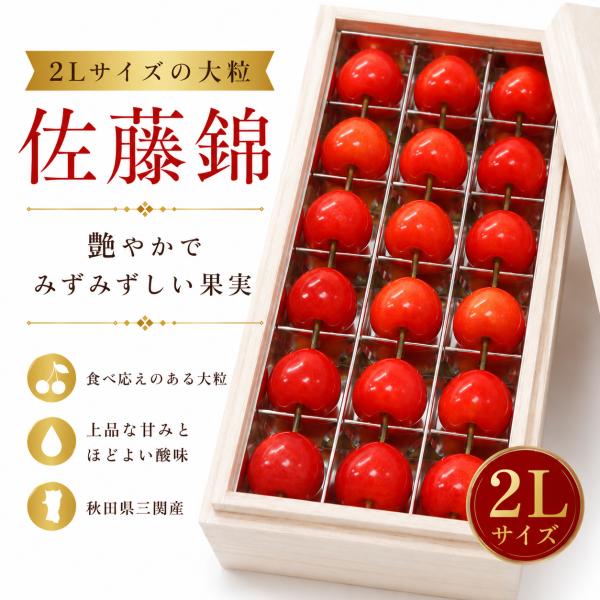 【発売日：2026年06月29日】【秋田 三関のさくらんぼ】特選の佐藤錦２Ｌサイズを丁寧に桐箱に詰めたプレミアム品。秋田県の三関 雄勝地方は1日の気温差が非常に大きく糖度が増すことで有名です。その甘く、食感に優れた厳選サクランボを１つ１つ丁...