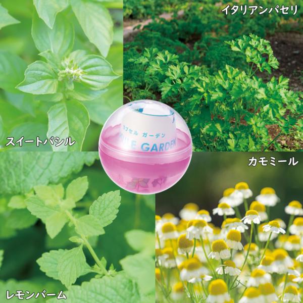 種から育てるハーブの栽培キット 1カプセル1種入り夏休みの自由研究や観察日記など教育教材にもおすすめです。セット内容：カプセル、圧縮土、種、取扱説明書材質：土、PP、種種原産国：イタリア(スイートバジル・レモンバーム)　　　　　ポーランド(...