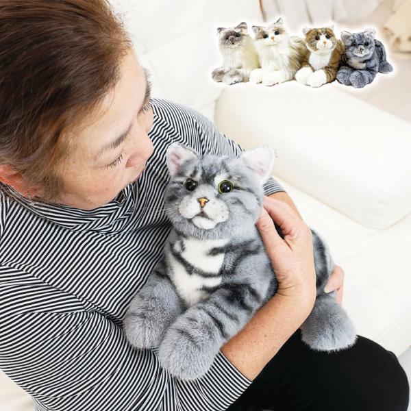 ●種類/キジトラ、アメリカンショートヘア、ラグドール、ヒマラヤン●サイズ/約幅55×奥行22×高さ18cm●重さ/キジトラ・アメリカンショートヘア：約380g、ラグドール・ヒマラヤン：約500g●素材/ポリエステル、ABS、ポリアクリレート...