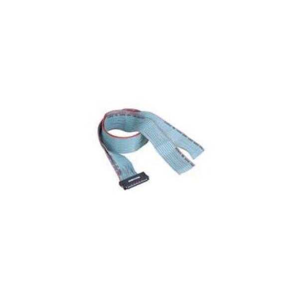 ※ご注文手続き後、当店より発送予定日または取寄商品の在庫有無・納期を記載したご注文確認メールをお送りいたしますので必ずご確認をお願い致します。こちらの商品はお取り寄せの商品となり、通常、土日祝を除く7営業日前後での発送となります。（詳細納期...