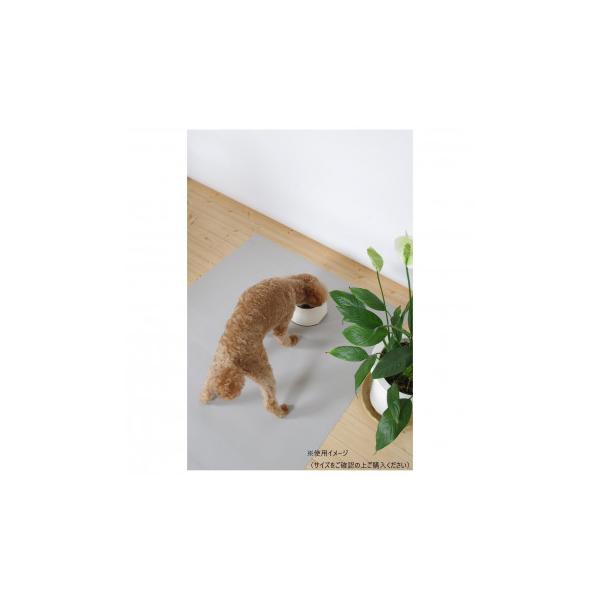 滑って立ち上がれない犬のお悩みに。長く快適なシニア犬ライフをお手伝いします。表面の特殊ウレタン系樹脂が滑りを抑えて足腰、関節を守ります。用途やお部屋に合わせて自在にカットできるので便利です。両面防水で、水洗いもできて清潔に保てます。ほこりを...