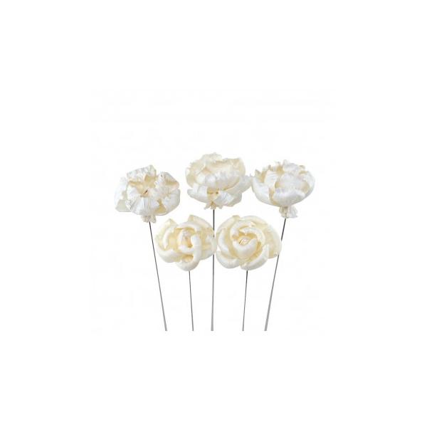 100%天然のソラの木を使用した淡い色合いのクラフトフラワーです。