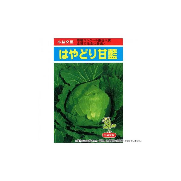 作りやすい早生種で、高温乾燥に耐え、病害に強いので、育苗する際も手間のかからない品種です。外葉濃緑でやや大きく、開帳気味に生育します。春から初夏蒔きで盛夏〜仲秋穫り、西南暖地の夏蒔きで冬穫りに適します。また播種期の幅広く裂球も比較的遅くなり...