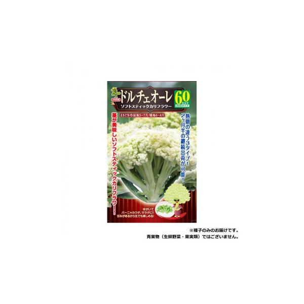新しいタイプの茎カリフラワーです。従来のカリフラワーのように締まった花蕾になるが、10日程おくと、花茎が伸びて花蕾部が緩み、収穫適期で花蕾は2000g以上にも大きくなり、ボリュームが出て収量が上がる。味にクセがなく、大変柔らかく甘く茹でてそ...
