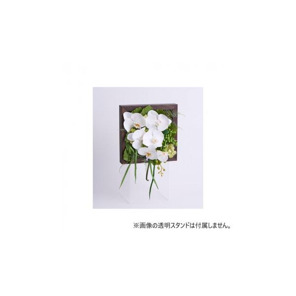 フレームを使用したインテリア性の高いデザインで、洗練された上質さを感じさせる胡蝶蘭アレンジメントです。