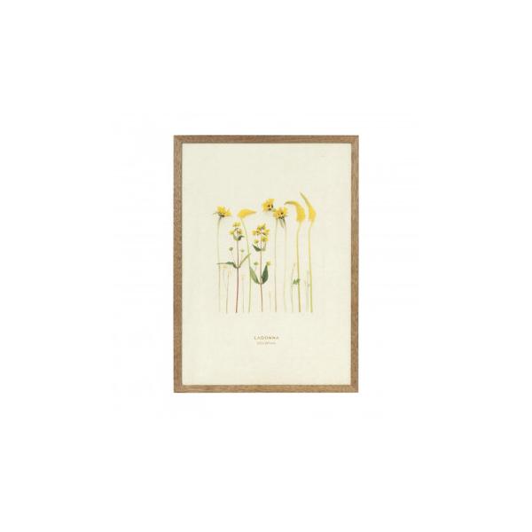 しっとりとした質感の無垢なウォールナットを使用したナチュラルフレーム。