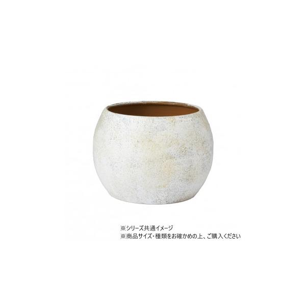 鉄製なのに水漏れしない花器です。シンプルで工業的だけれども、様々な生花やグリーンに合います。