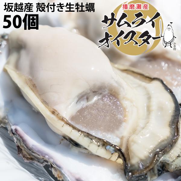 -------------------------坂越産 殻付き 牡蠣 50ヶ-------------------------【季節限定商品】1個、1個に愛情をかけて育てました。焼き牡蠣・蒸しポン酢・牡蠣グラタンなどでお召し上がり下さい。...