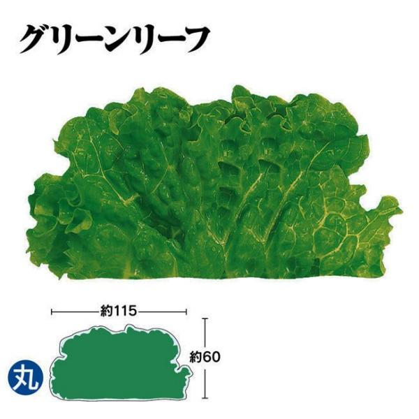 ●商品コード：062408-0251●JAN：4580288760040●入数：1,000枚●単価：3.12円/1枚(税込)●サイズ… 縦：60mm 巾：115mm●商品説明：生葉と違い雑菌が少なく衛生的で安心。