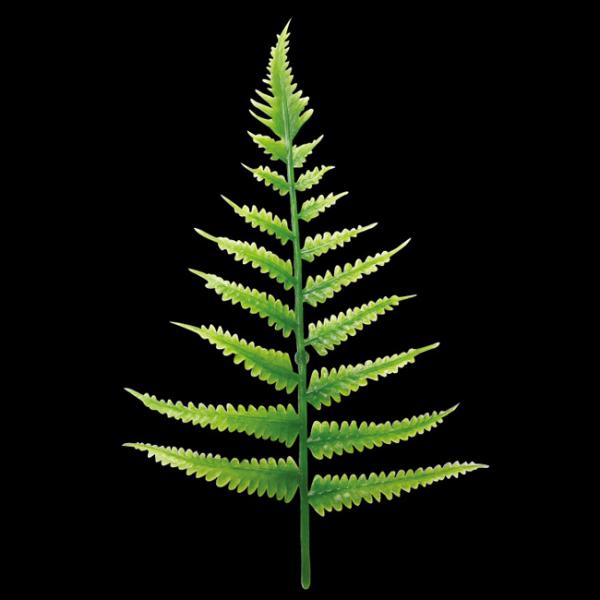 ●商品コード：062408-1161●入数：800個●単価：15.06円/1個(税込)●サイズ… 巾：90mm 高さ：139mm 材質：PE●商品説明：料理飾り。