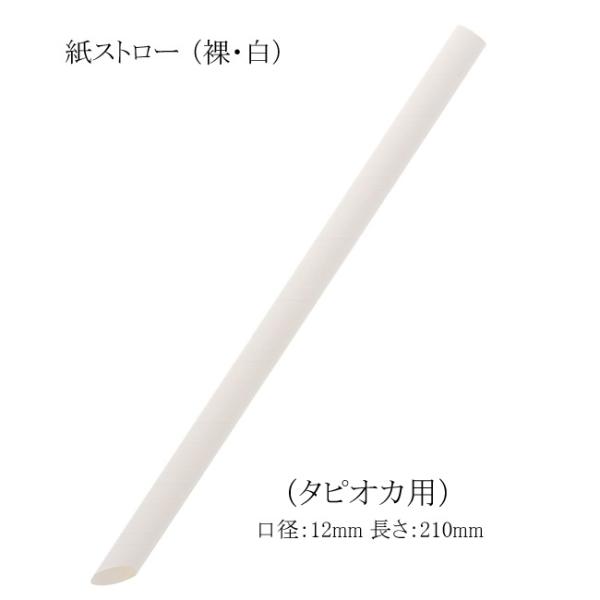 ●商品コード：062601-0531●入数：1,800本●単価：10.2円/1本(税込)●サイズ… 1袋：300本入り 口径：12mm 長さ：210mm 材質：紙●商品説明：直径12mｍの太口ストロー。ストローの先が斜めになっているのでフィ...