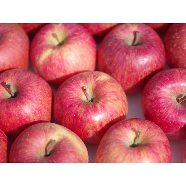 岩手県産りんごは、甘味酸味のバランスの良いりんごが多いです。●内容量：9kg〜10kg（梱包材の除いた内容量、梱包材を含むと10kg〜11kg）