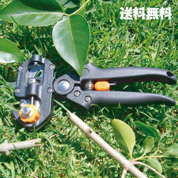 誰でも簡単に、プロのような接ぎ木ができる専用ハサミです。造園職人・剪定職人が現場で使っている接ぎ木用ハサミを、ご家庭でも扱いやすい仕様で新発売。立体刃構造により、穂木と台木をそれぞれカットするだけで、凹凸がぴったり噛み合い、ズレの少ない美し...