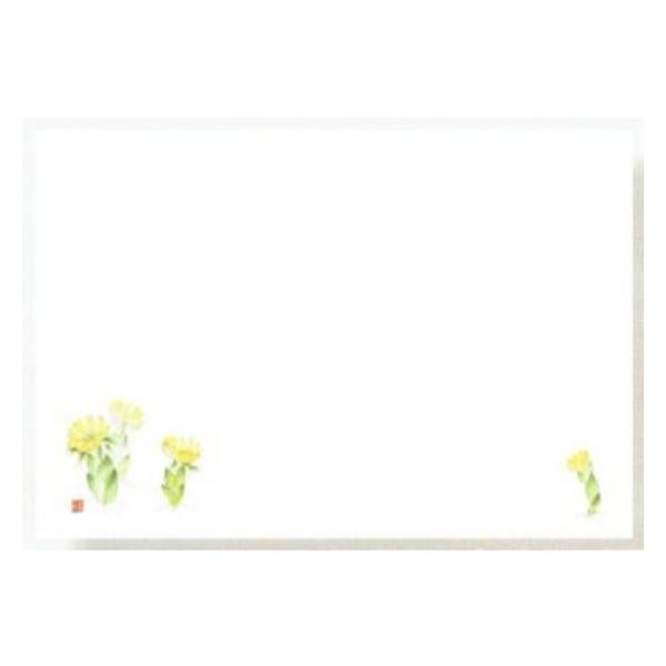 上質紙テーブルマット◇テーブルマットは、心を込めたお客様への「おもてなし」◇食のひと時を優雅に彩るアクセントでもあります。◇上質な和紙を採用しております。※印刷物の色は実際の色とは多少異なる場合があります。●サイズ：〈尺３〉２６０×３８０m...