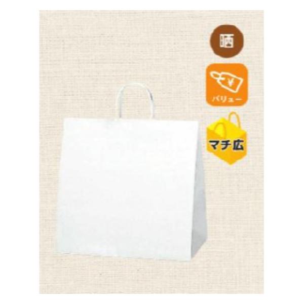 ●材質：紙 晒100ｇ●サイズ：巾340×マチ220×高320mm●入数：50枚