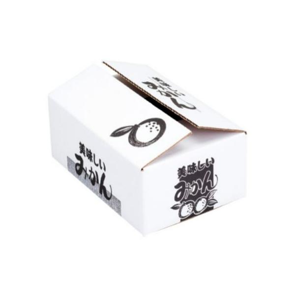 ※贈答用の箱のみの商品です。写真の果物等は梱包時のイメージですので内容物には含まれません。美味しい みかん（3kg用）◇みかんの発送用段ボールです。◇約 3kgの詰め合わせに最適です。●形式：A式●材質：C5K5 A段●重量：195ｇ●サイ...