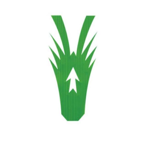 海老型2号 G色 背抜◇お弁当や仕出し、お寿司の仕切りに！●サイズ（mm）：60W×115H●色：グリーン色●入数：1個（1000枚）