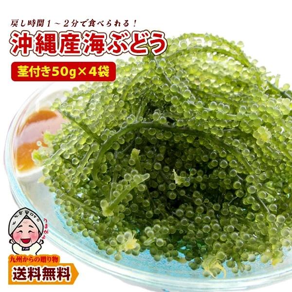 ※ゆうメール便でのお届けとなります。※他商品と同梱もしくは複数購入の場合、ネコポス便（ゆうパケット）または宅配便にてまとめてお届けいたします。・食べ方付属のタレ・ポン酢・三杯酢・ドレッシングなどお好みでお召し上がりください。【内容量】 海ぶ...