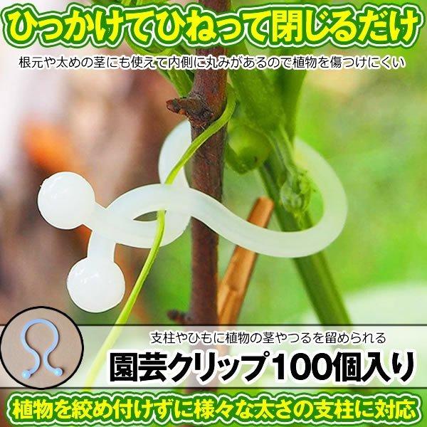 【商品説明】植物のつるや茎を固定する園芸用クリップの登場です！大容量お得な100個セット！！支柱や添え木、ひもに植物の茎やつるを留められる誘引クリップです。ネットにひっかけて、ひねって閉じるだけ！ワンタッチで作業効率アップ！根元や太めの茎に...