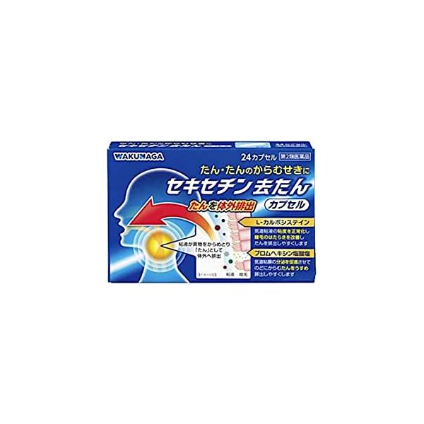 ■説明をよくお読みになりご購入をお願いします。気道粘液の粘度を正常化し、たんを排出しやすくする成分と、たんをうすめて排出しやすくする成分が配合され、「たんのからむせき」に効果をあらわします。8才のお子様から服用できます。■使用期限2028年...