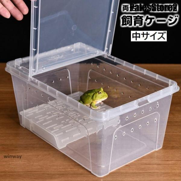 両生類・爬虫類用の飼育ケージです。日向ぼっこや休憩などで活躍する浮島付きデザインです◎シンプルなので、お手入れもしやすいですね♪【サイズについて】画像をご参照ください。【素材について】PP【カラーについて】生産ロットにより柄の出方や色の濃淡...