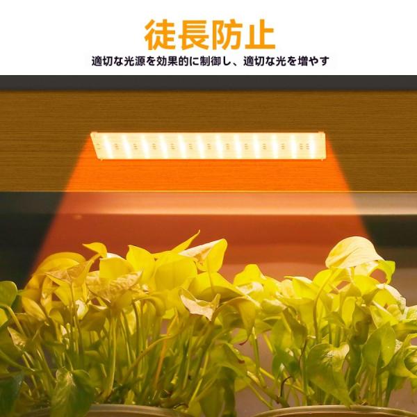 植物育成ライト LED フルスペクトル タイマー機能付き パネル屋内 屋外用 観葉植物 多肉植物 植物育成ライト LED 育成ライト 植物ライト