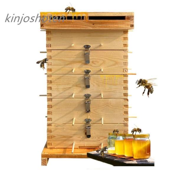 ★ユニークなデザイン:蜂の巣巣礎を必要としない。竹串で代用する。蜂蜜を取るのは簡単で、繰り返し取り出す必要がなくて、ミツバチに対する妨害を減らします。★より安全:養蜂箱網の設計があり、外の昆虫から蜂を守ることができます。掃除はもっと便利で、...