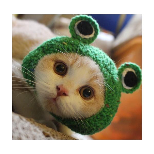 本品はPANNIペット猫用のかつら、猫用の帽子です。ペット専用可愛い帽子を被って、あなたの愛猫と愛犬が百倍可愛いになります。ペットのおもちゃじゃなくて、ペットの変身服です、設計が可愛くて、使い便利です、エコ材料を使用して、ペットの健康に影響...