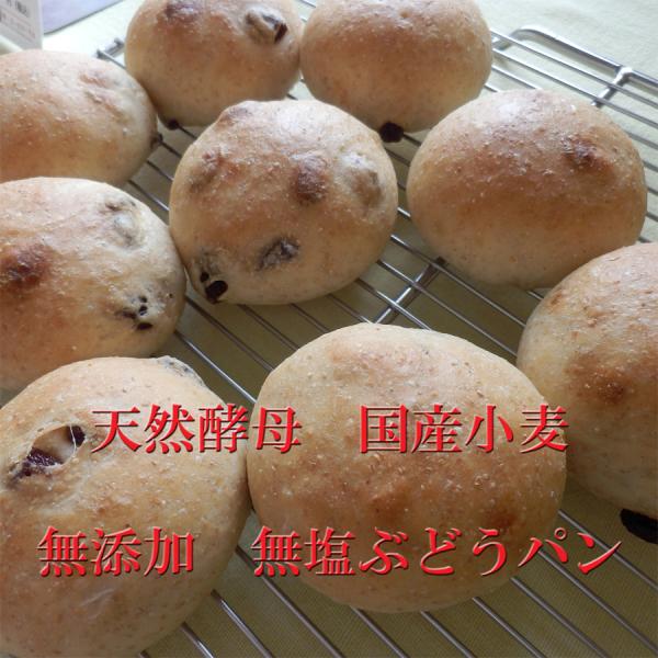 健康を気にされる方におすすめの、塩分を一切使用していない無塩のレーズンロールです。自然な食材と丹精込めた製法で仕上げた、新しい食の提案です。【心地よい自然な味わい】塩分がなくても、おいしさは健在。厳選された国産小麦と全粒粉を使用し、低温での...