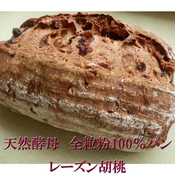“クララのパン”、それは“心も体も微笑むパン”です。 全粒粉100％パンにレーズンと胡桃を混ぜて焼きあげました。天然酵母 全粒粉 100％ パン レーズンクルミ 特大の半分の生地量で食べきりサイズに焼き上げました！1.5センチの厚さでスライ...