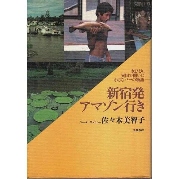 佐々木美智子 文藝春秋 1994年 初版　Ｂ六　カバー付 227頁  本体若干焼　微汚　経年概ね良好 350g内　定価1400円