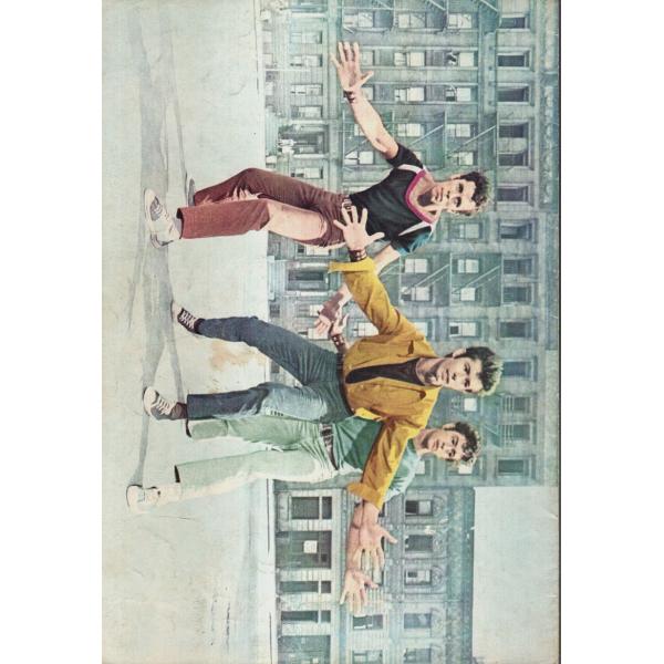 ロバート・ワイズ:監督／ナタリー・ウッド、リチャード・ベイマー、ジョージ・チャキリス:出演  1961年 Ａ四 16頁  少シミ汚傷み　裏表紙ややムレ　本文問題なし　程度並　 100g　大阪版