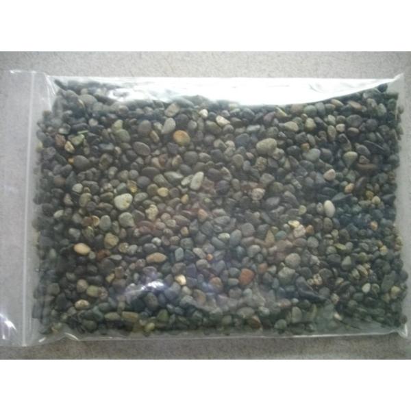 ■最高級　天然玉砂利 大磯■2分約10ミリ■1Ｋ単位から賜ります(透明ポリ袋でお届けさせて頂く場合がございます)■観賞魚用敷砂です　金魚　熱帯魚等の飼育水槽の底砂に最適です■観賞魚が美しく映える砂　■容器に水を入れ濁りが取れるまで水洗いして...