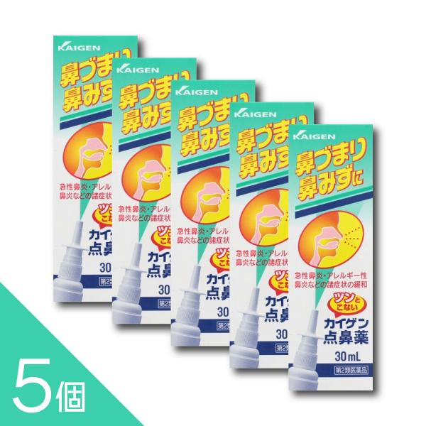 サイズ：ゆうパケット（厚さ5cm以内）鼻づまりや鼻みず、花粉やハウスダストによるアレルギー性鼻炎など、鼻の不快な症状に。【カイゲン点鼻薬】は噴霧式タイプで、有効成分の微細な粒子が鼻腔の奥深くまで均一に行きわたり、鼻粘膜の炎症をおさえます。鼻...
