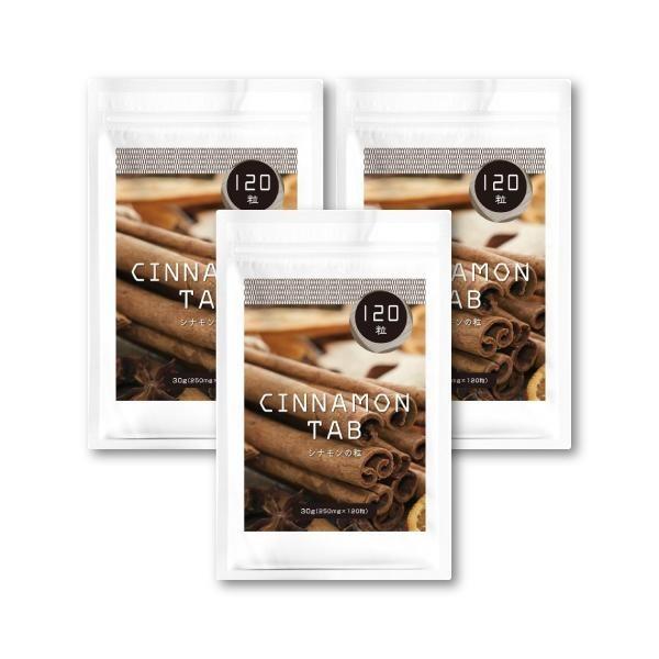 【シナモンをギュッと凝縮】シナモンの錠剤は、シナモンの成分をぎゅっと凝縮し、日常に取り入れやすいサプリメントです。シナモンは、古くから健康維持に役立つ素材として親しまれており、その豊富な栄養素が注目されています。忙しい現代生活の中でも、手軽...